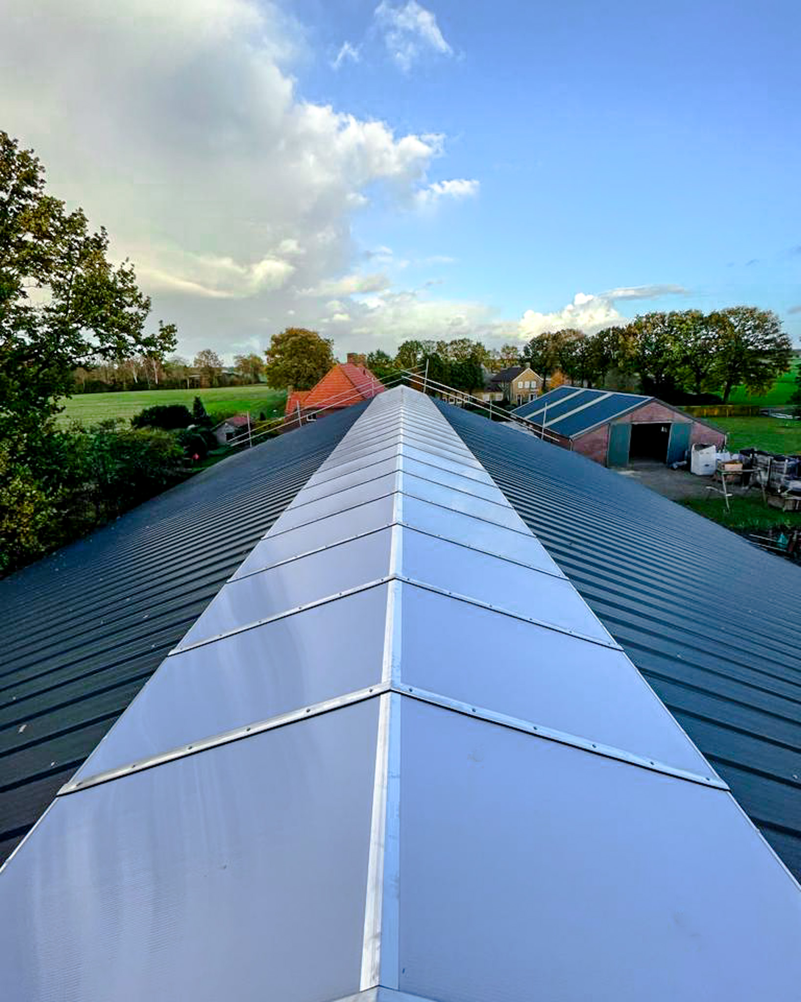 Project Roosendaal | Bunt Skylights | One party from A to Z